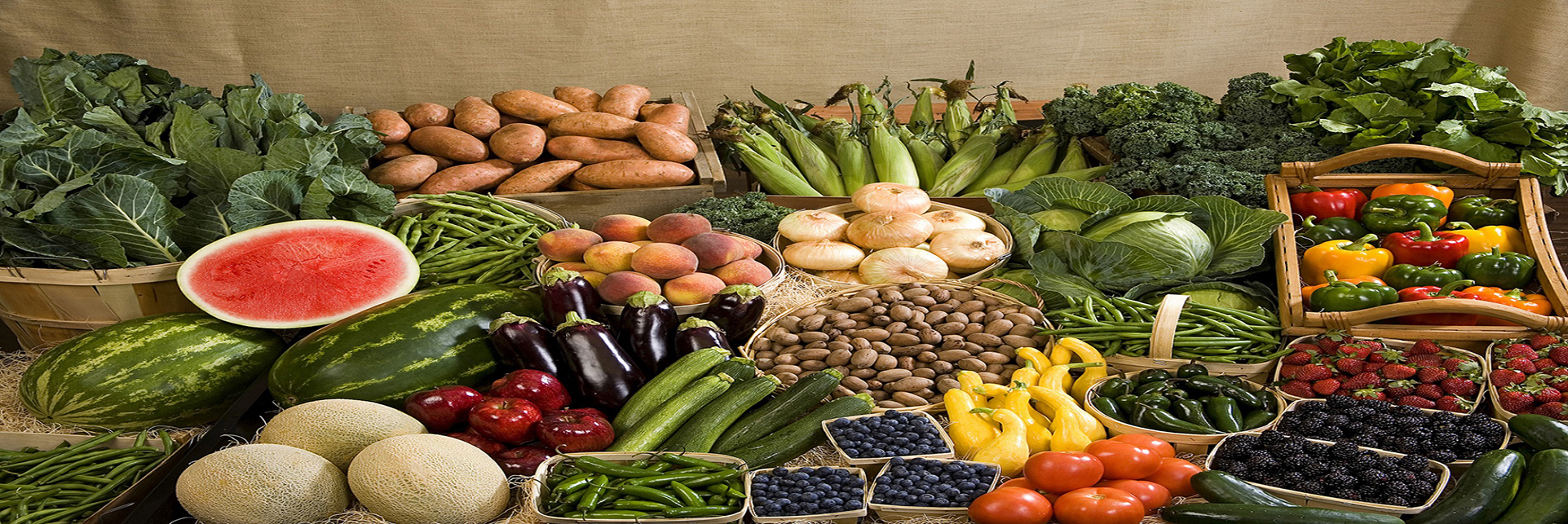 AL KARMA LANGUAGE SCHOOL